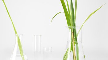What is a COSMOS Organic Certification? | Garnier® Australia & NZ