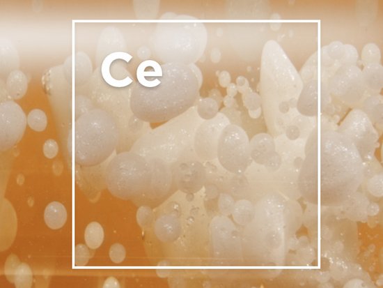 Our Ingredients: All About Ceramides| Garnier® Australia