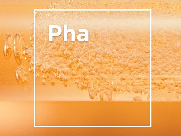Our Ingredients: All About PHA Polyhydroxy Acids| Garnier® Australia