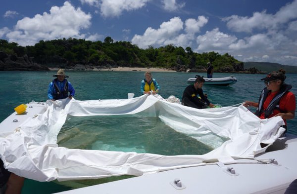 Great Barrier Reef Foundation & Garnier | Garnier Australia & NZ