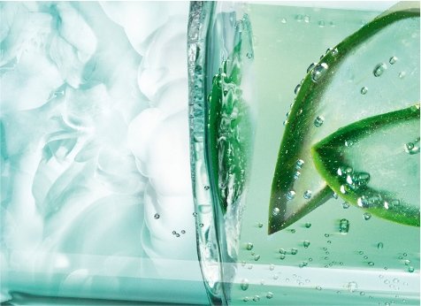 Learn More About Body Superfood Range | Garnier Australia & NZ